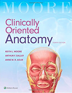 10 of the Best Books For Anatomy - Sutured